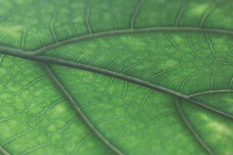 Budapest lakossága, népessége, területe